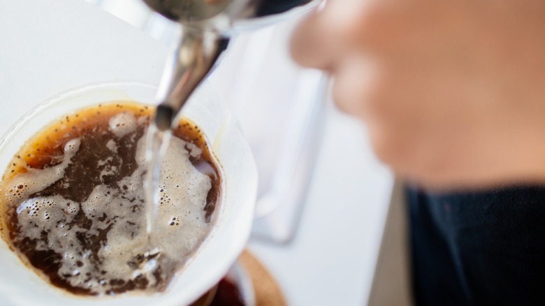 13 Types Of Coffee Filters And How To Use Them