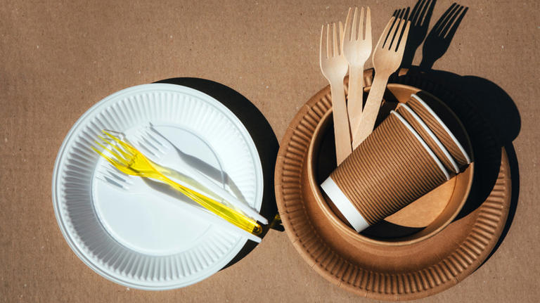 Can You Put Paper Plates In The Microwave?