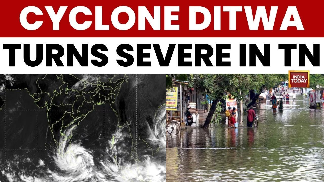 Cyclone Ditwa Turns Severe: Tamil Nadu, Andhra On High Alert | Heavy ...