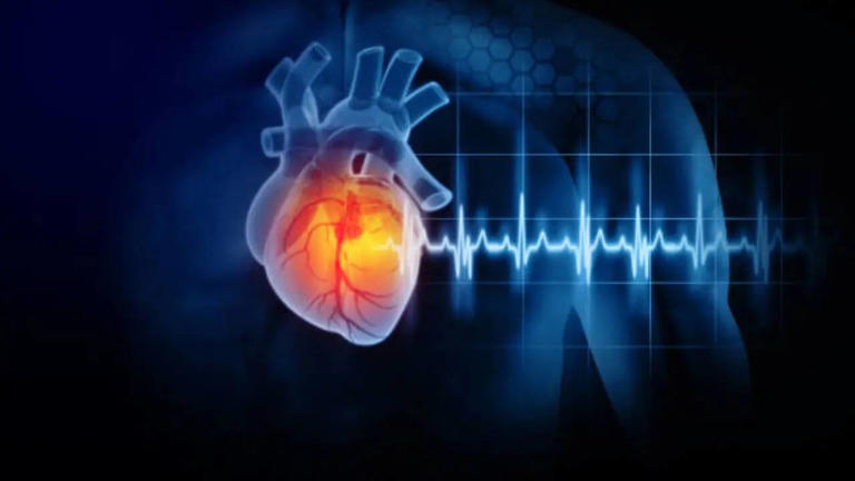 How Often to Check Your BP at Home: The Surprising Answer from a ...