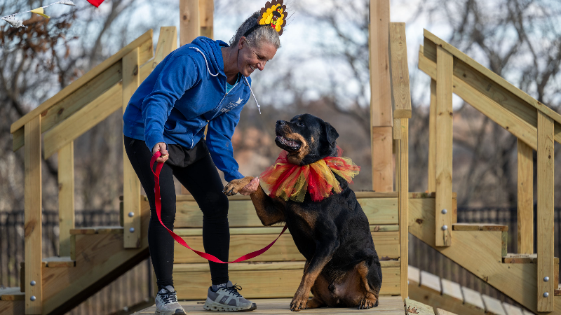 See KC Pet Project's new playground for shelter dogs