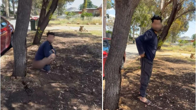 Video: Man squatting with pants down confronted for urinating on ...