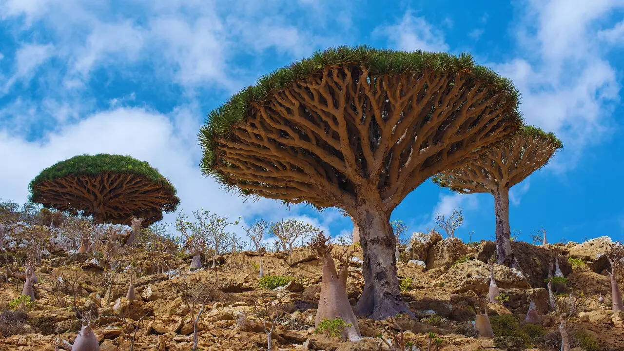 From anthrax to bunnies: 10 most unusual islands in the world that will ...