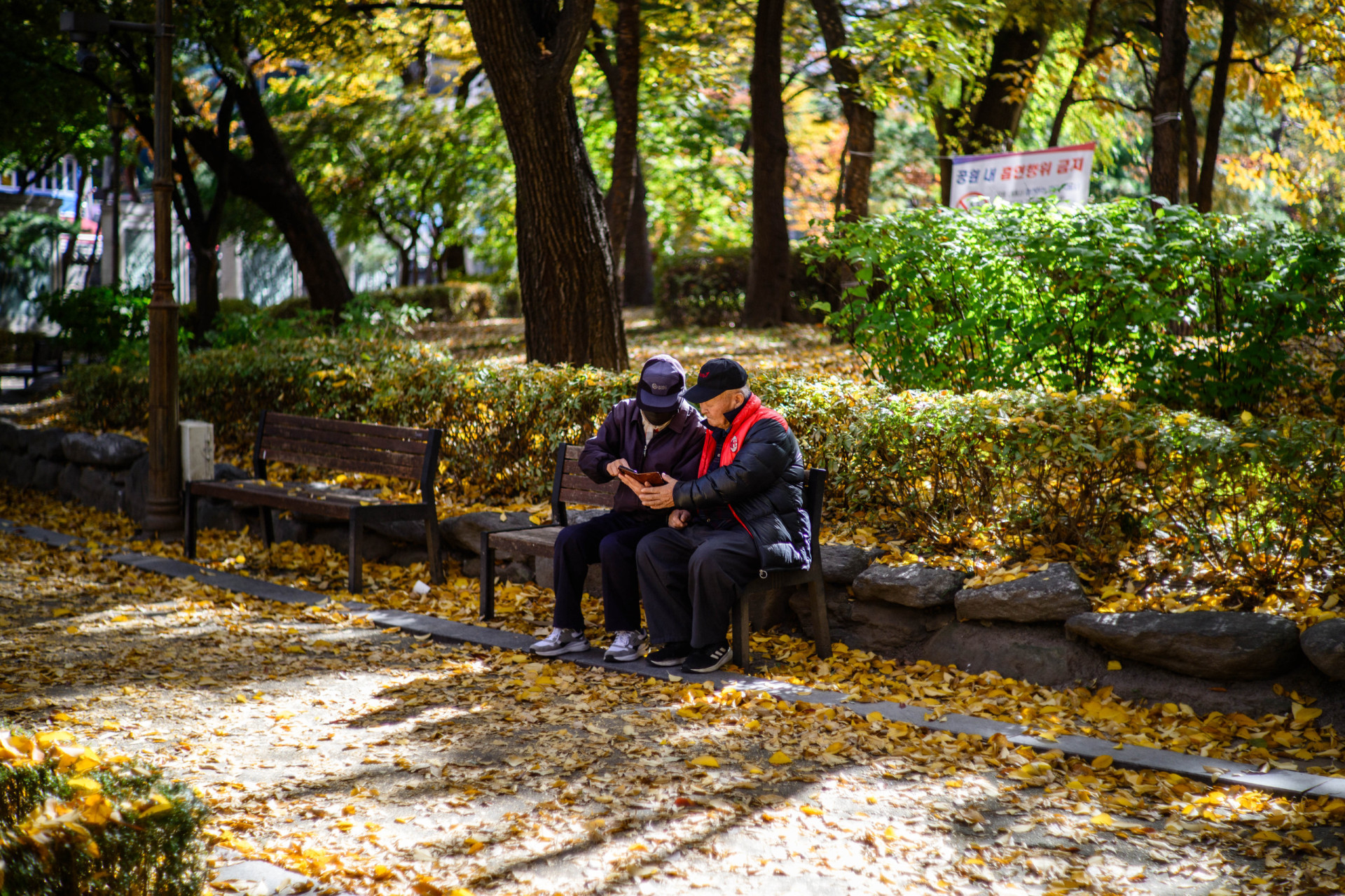 Countries with the longest life expectancy, ranked