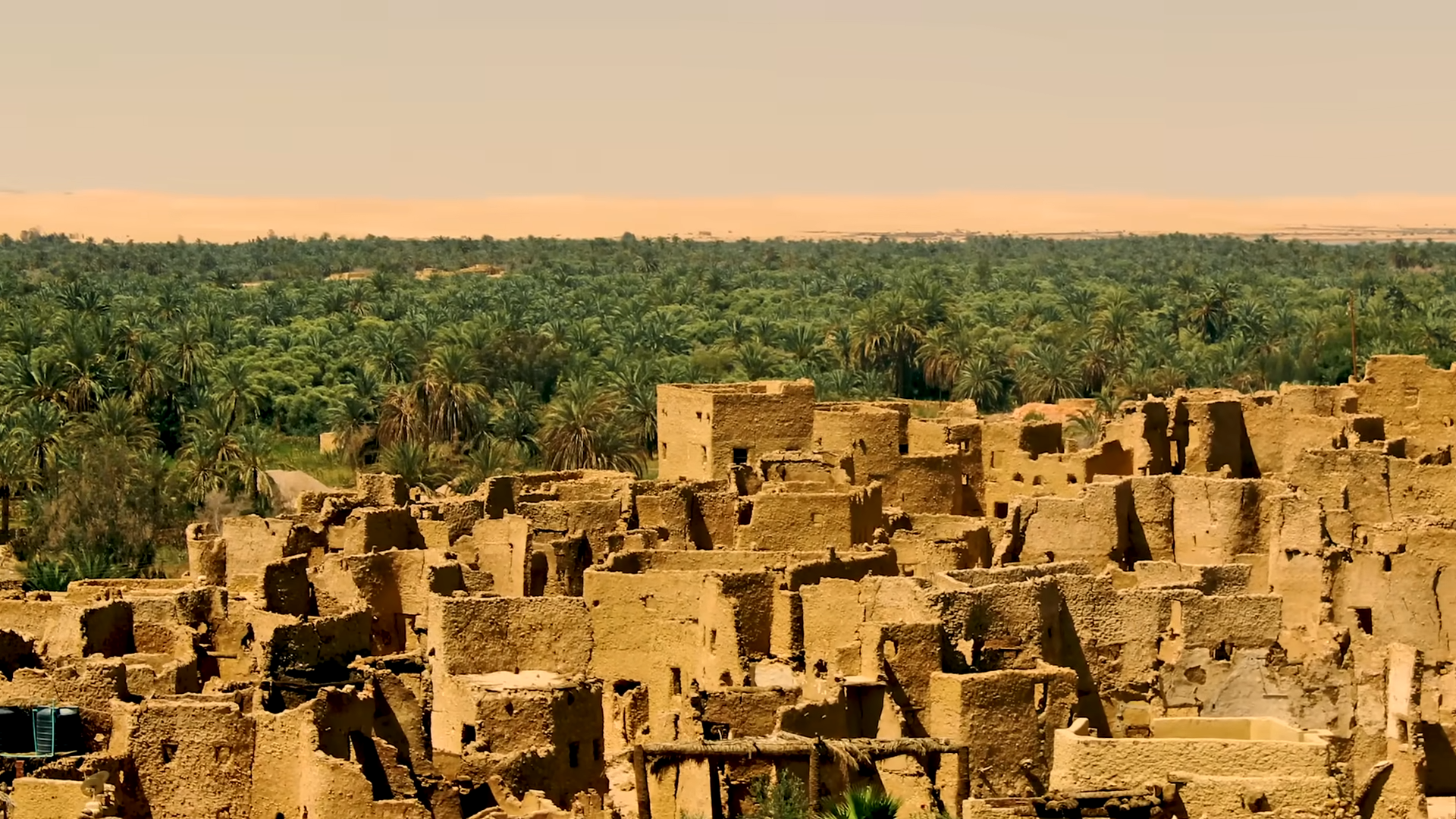 How an oasis forms where rain barely falls