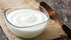 Resep Membuat Greek Yogurt Sendiri di Rumah, Cuma dengan Dua Bahan