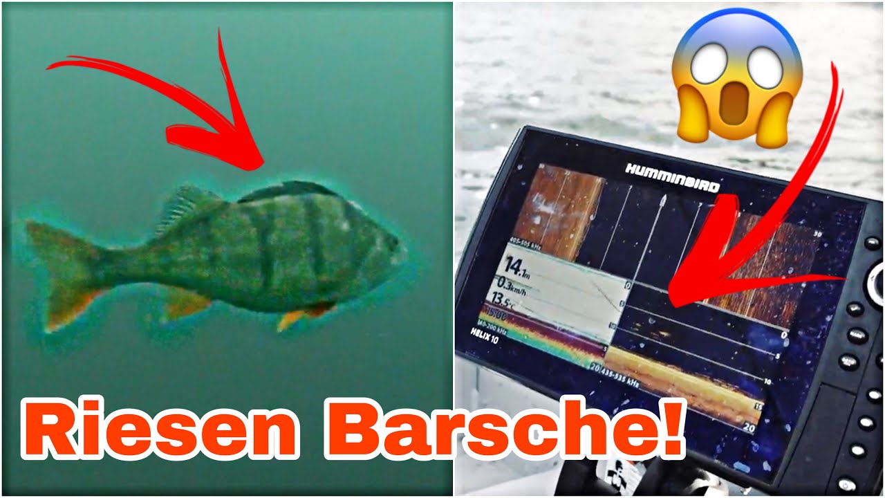 Ist das noch Angeln? Mit Unterwasserkamera Fische suchen!
