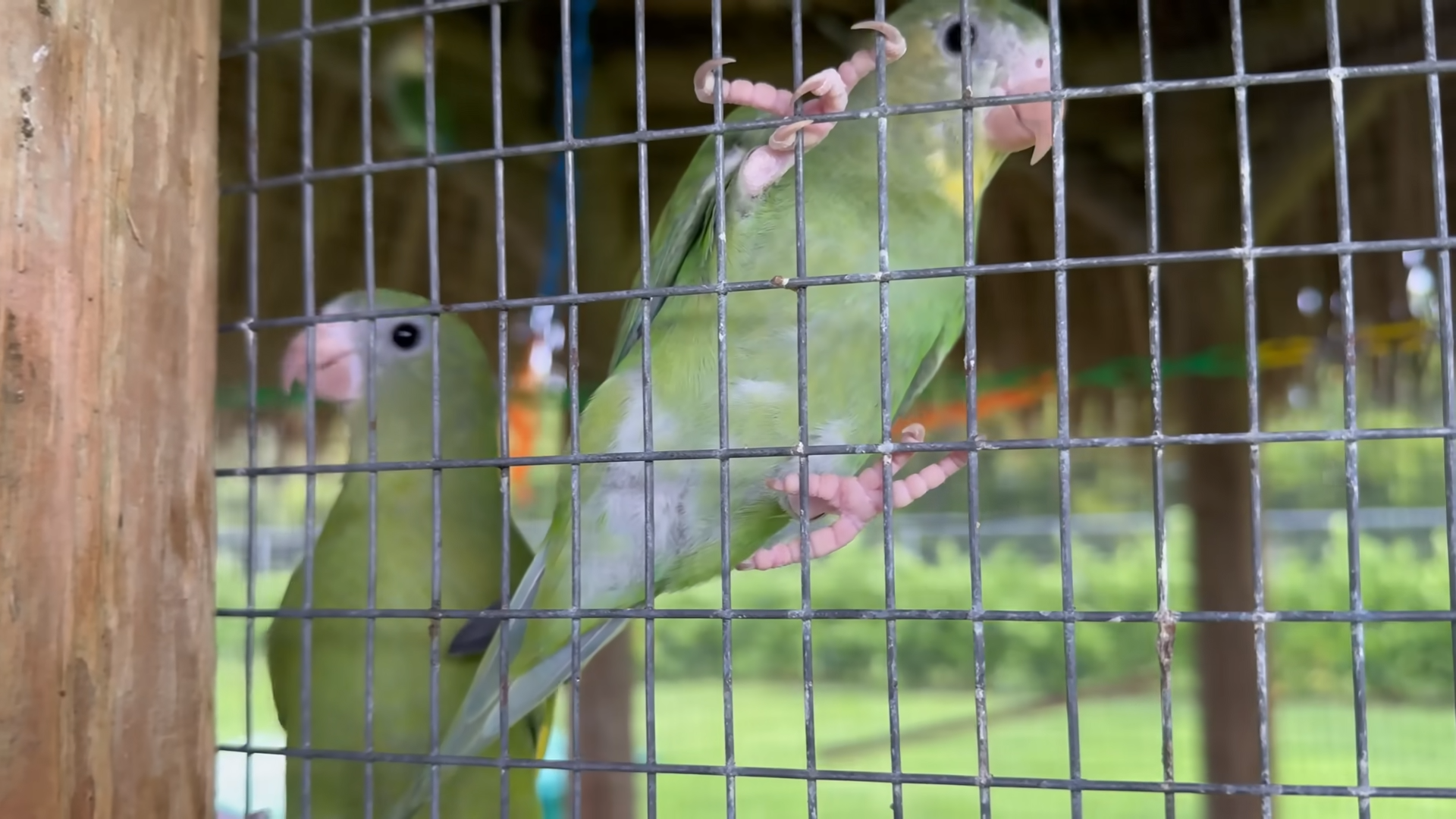 What we found after the storm will melt your heart