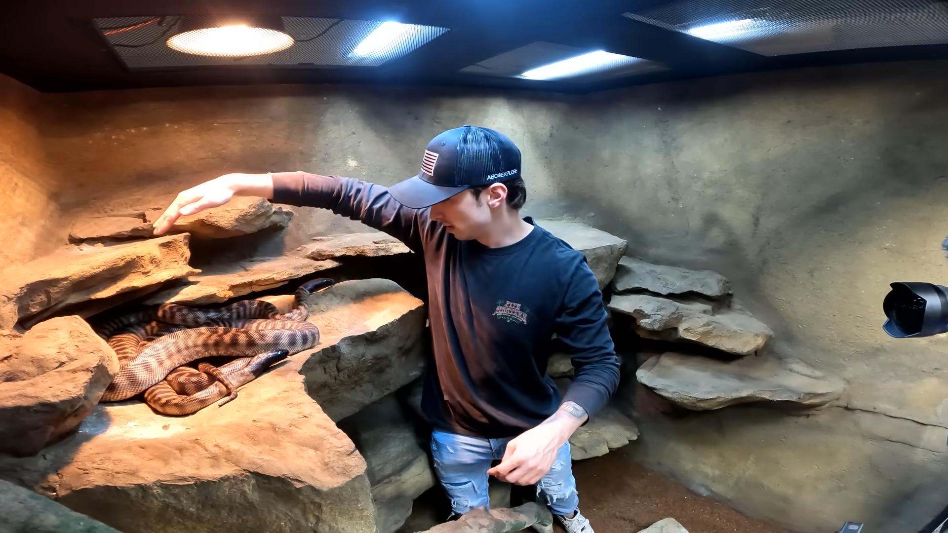 How a Hidden Surprise Turned Into a Lesson in Reptile Biology