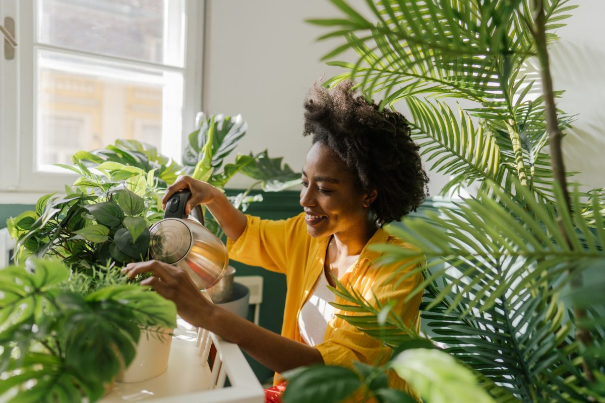 13 low-effort hobbies to improve your life (from the comfort of your home)