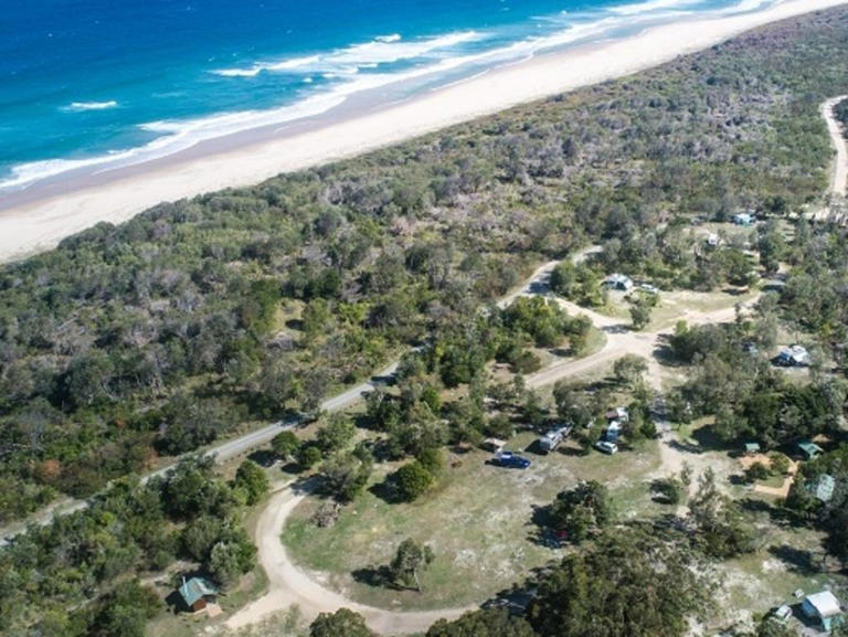 Woman mauled to death by shark