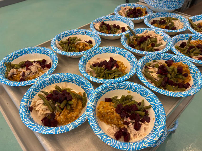 Shelter pets served special ‘Barks-Giving’ feast at San Diego Humane ...