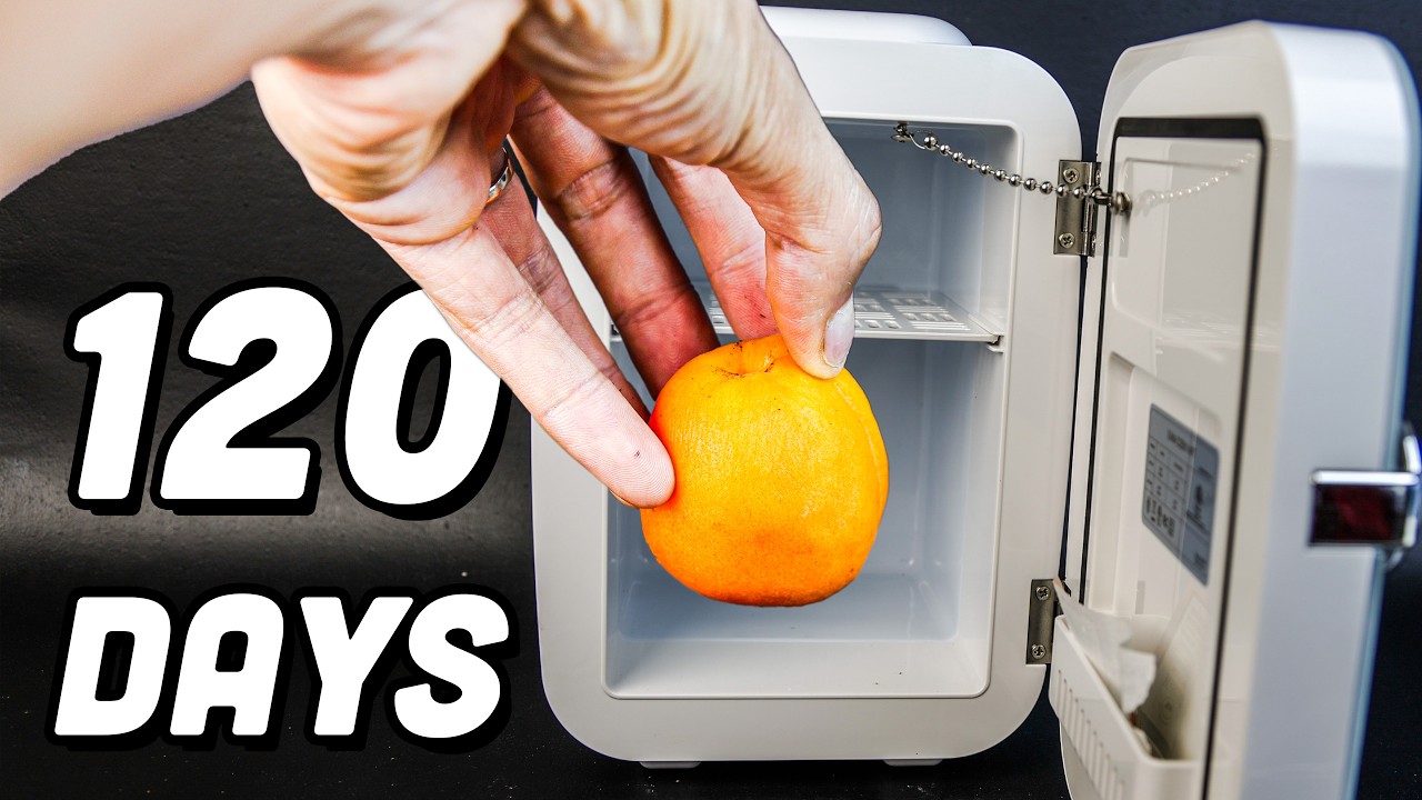 I refrigerated an apricot then grew it for 90 days (time-lapse)