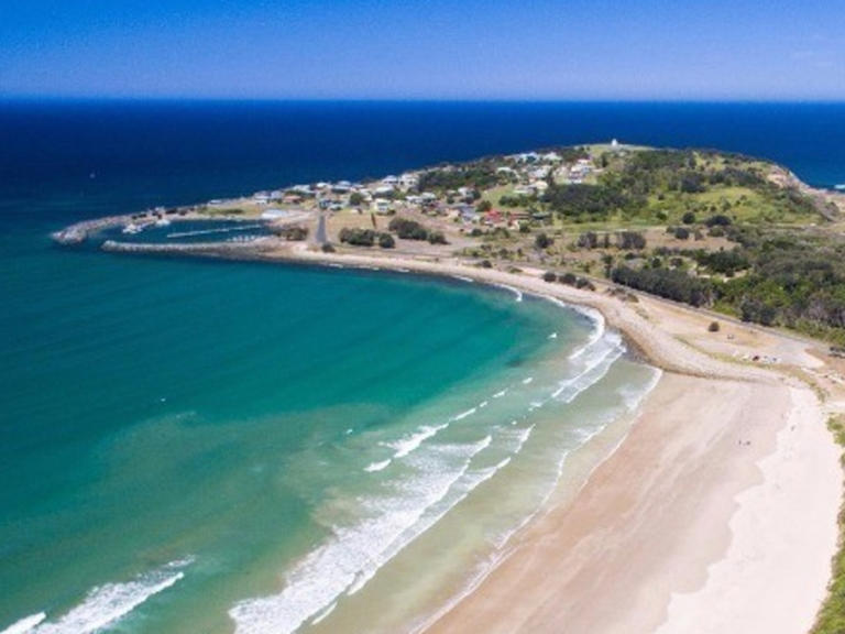 Woman mauled to death by shark