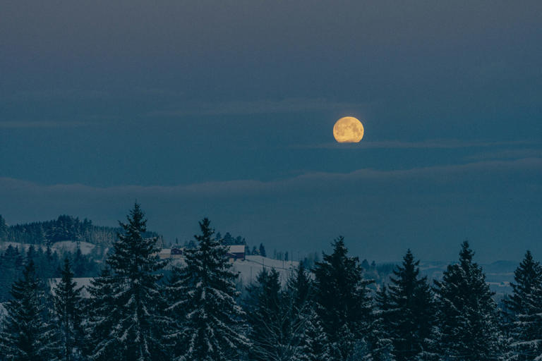 The Sky This Week from November 28 to December 5: 2025's last Full Moon ...