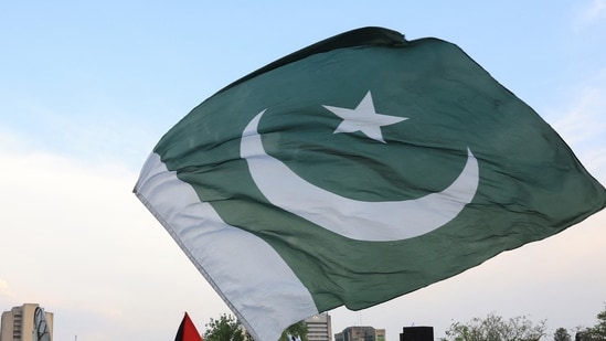 Criminal records, fake credentials: Why UAE has stopped issuing visas ...