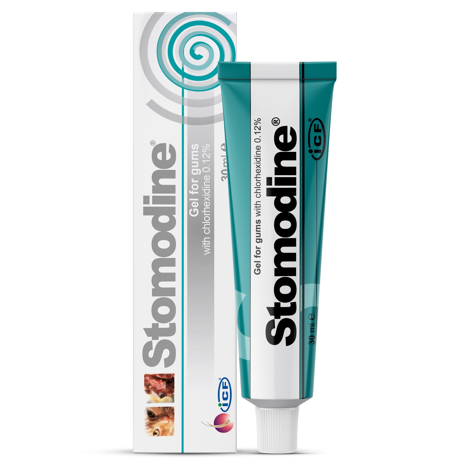 12 dog toothpastes for clean teeth and healthy gums – plus canine oral ...