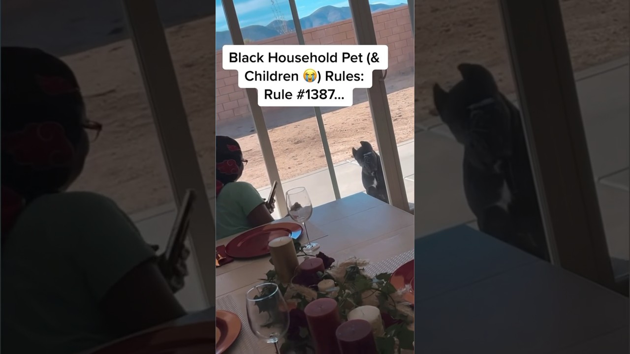 Velcro dog suffers major FOMO when everyone’s inside