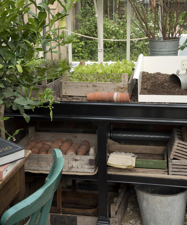 This is one key January tidy-up I do every year to save me time in spring