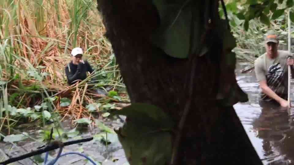 The massive gator known as Big Bruce pushed rescuers to their limits