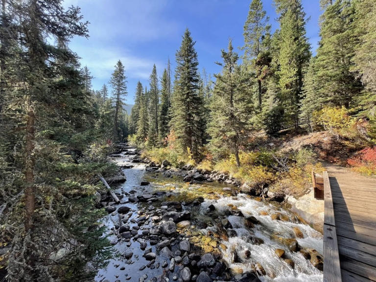 This Beautiful Backcountry Trail in Montana Is a True Hidden Gem