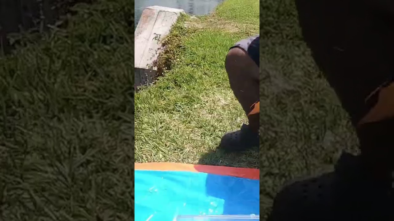 Fish water slide