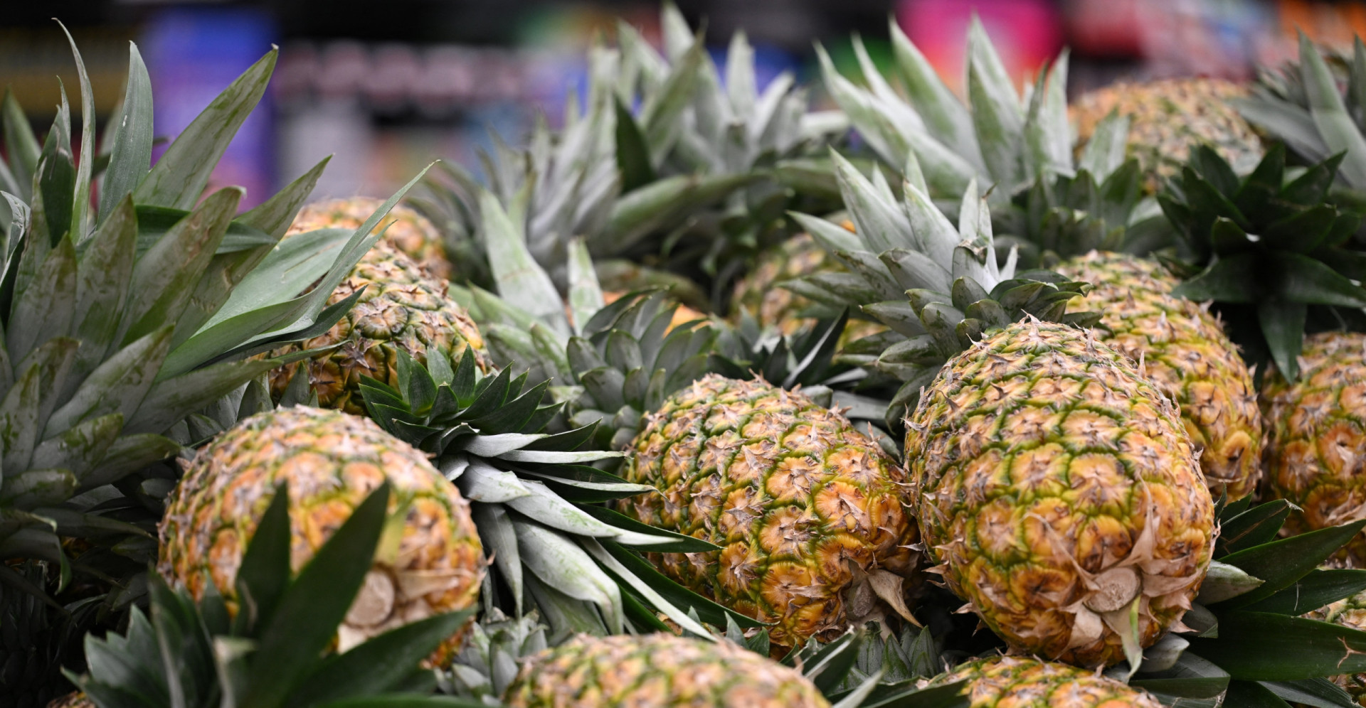 The best foods to combat bloating