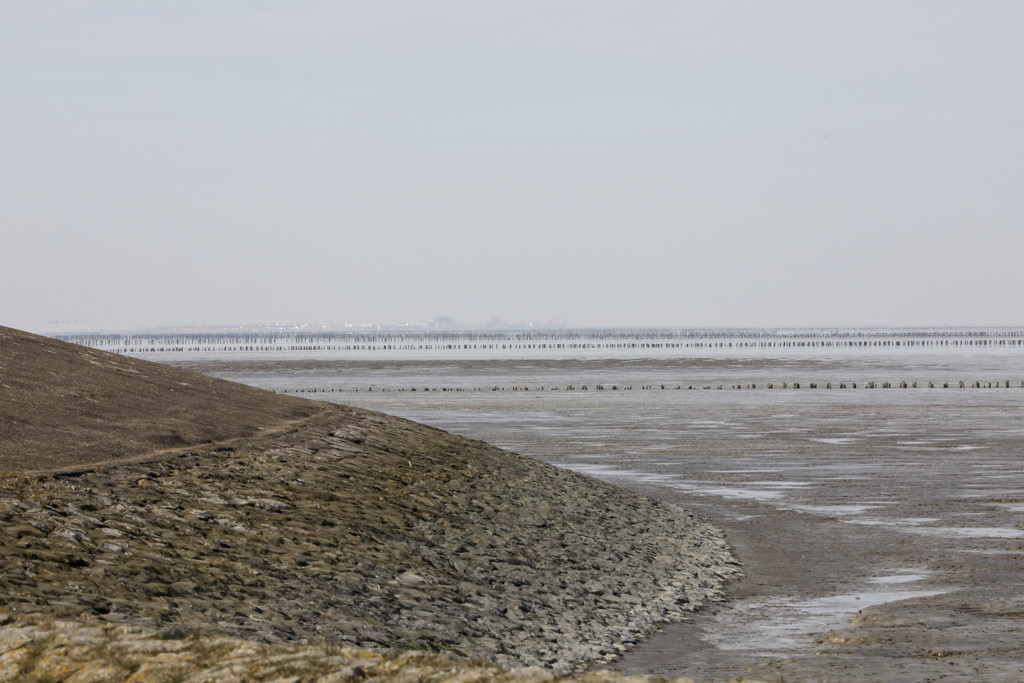 Toch geen gaswinning onder Waddenzee bij Ternaard, kabinet betaalt NAM ...