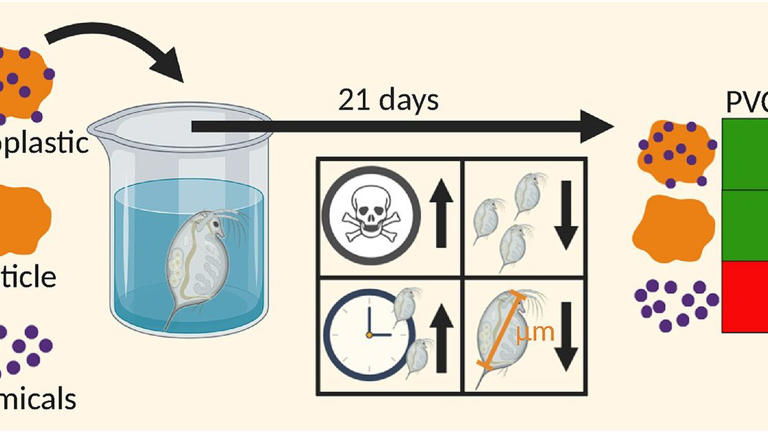 The Surprising Reason Your Laundry Routine Wastes So Much