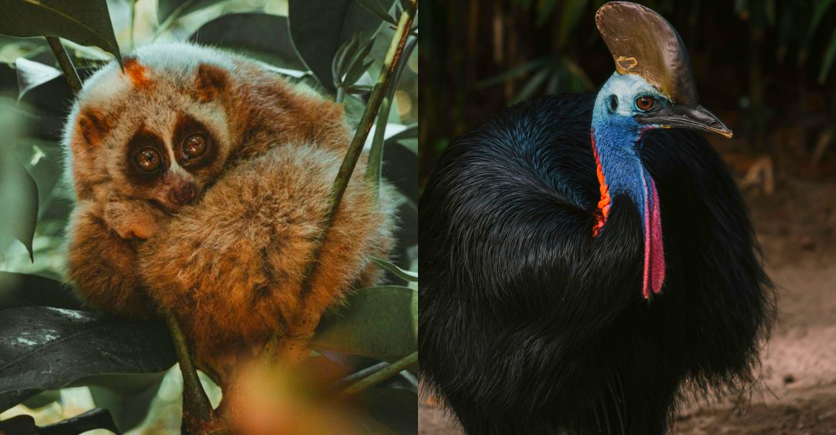 10 Wild Animals That Look Harmless But Defend Themselves Fiercely