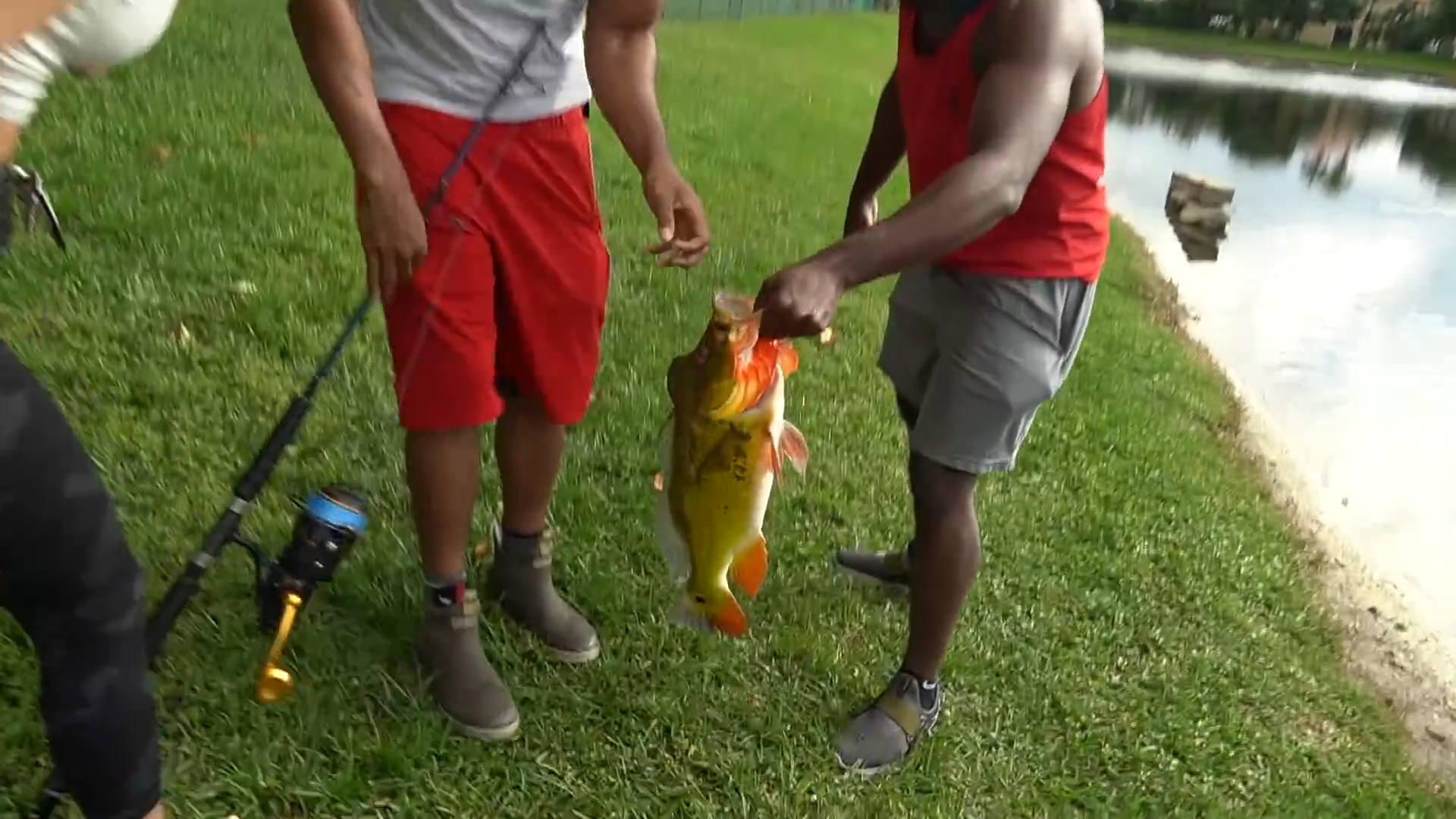 Fish go airborne as balloons hijack the whole fishing session
