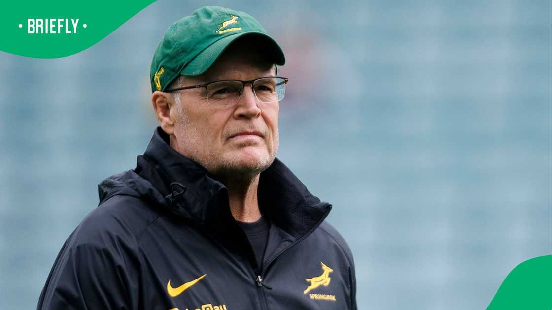 Springboks vs Wales preview: Squad, analysis and kick-off details