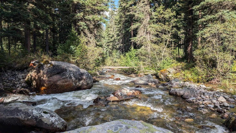 This Beautiful Backcountry Trail in Montana Is a True Hidden Gem