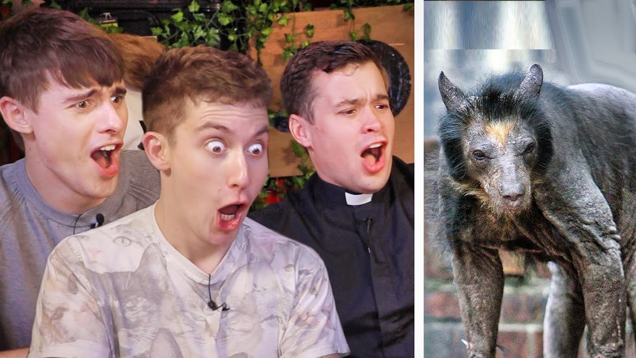 Guess the animal: Can you identify these hairless creatures?