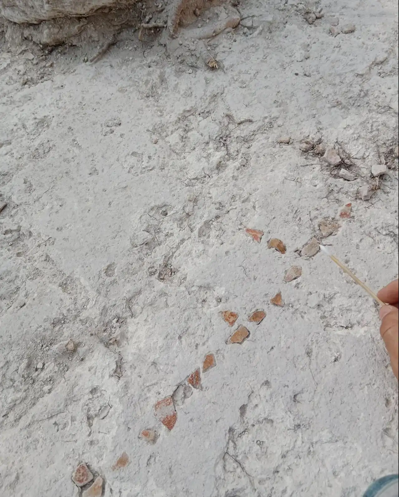 Hallan un tablero del juego de la élite maya