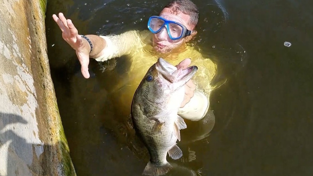Snorkeling grab attempt turns into a real or fake mystery