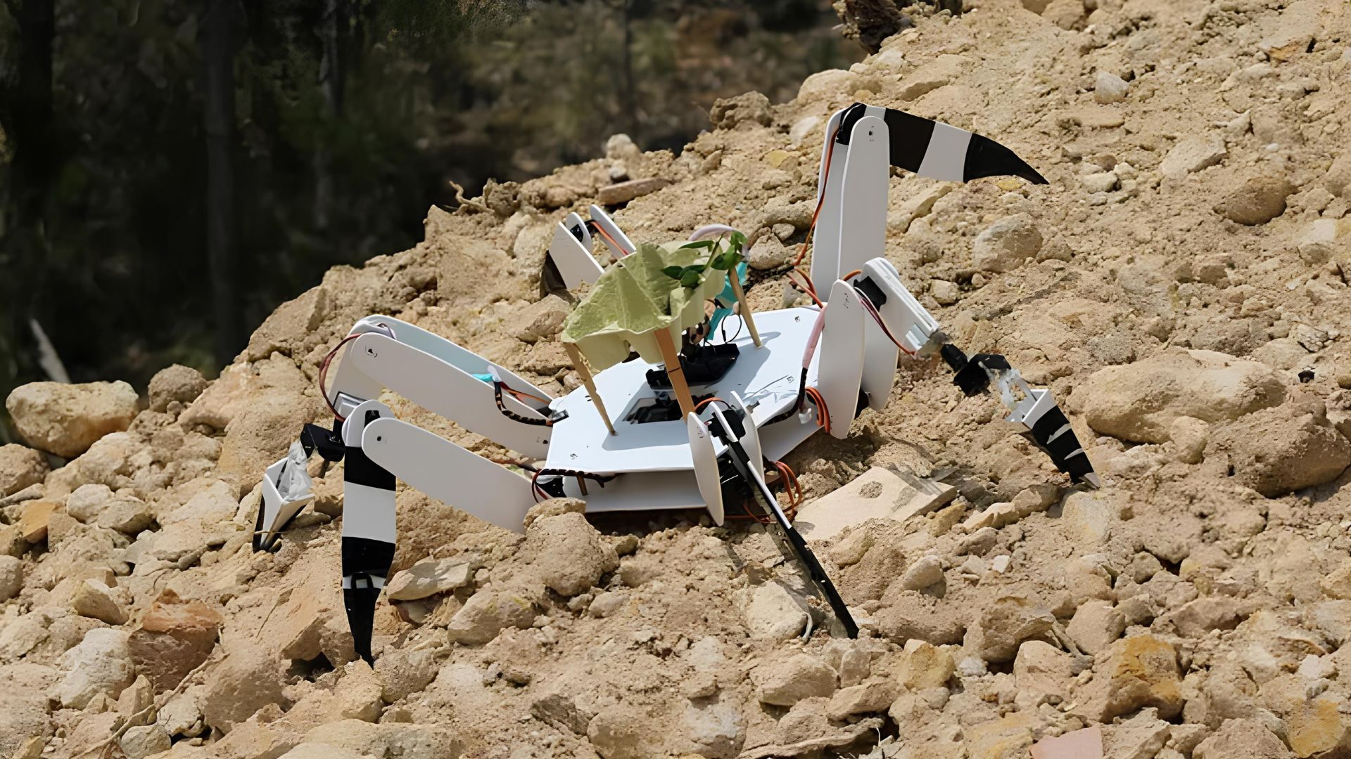 Teenagers who saw Portugal’s forests burn built a spider robot to ...