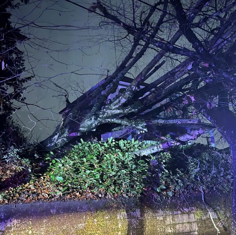 Downed power lines spark multiple fires in northeast Portland