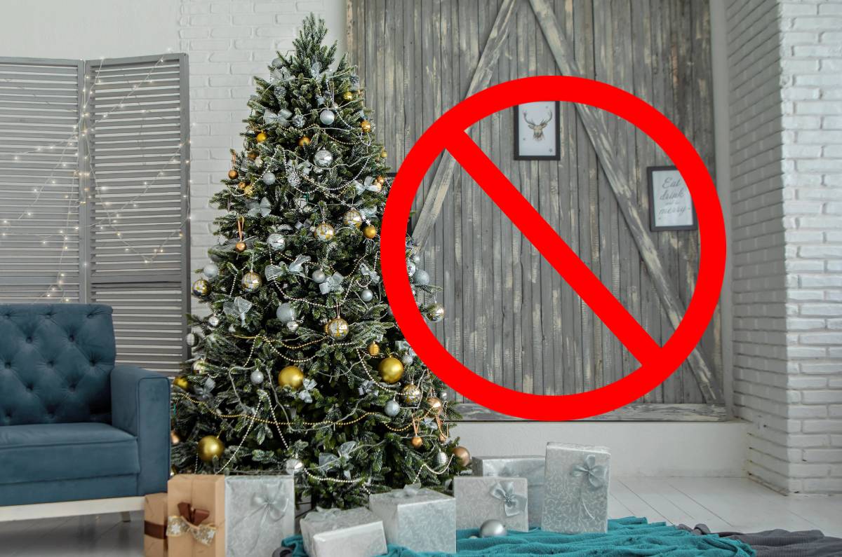 Dónde nunca deberías poner tu árbol de Navidad porque podría secarse o ...
