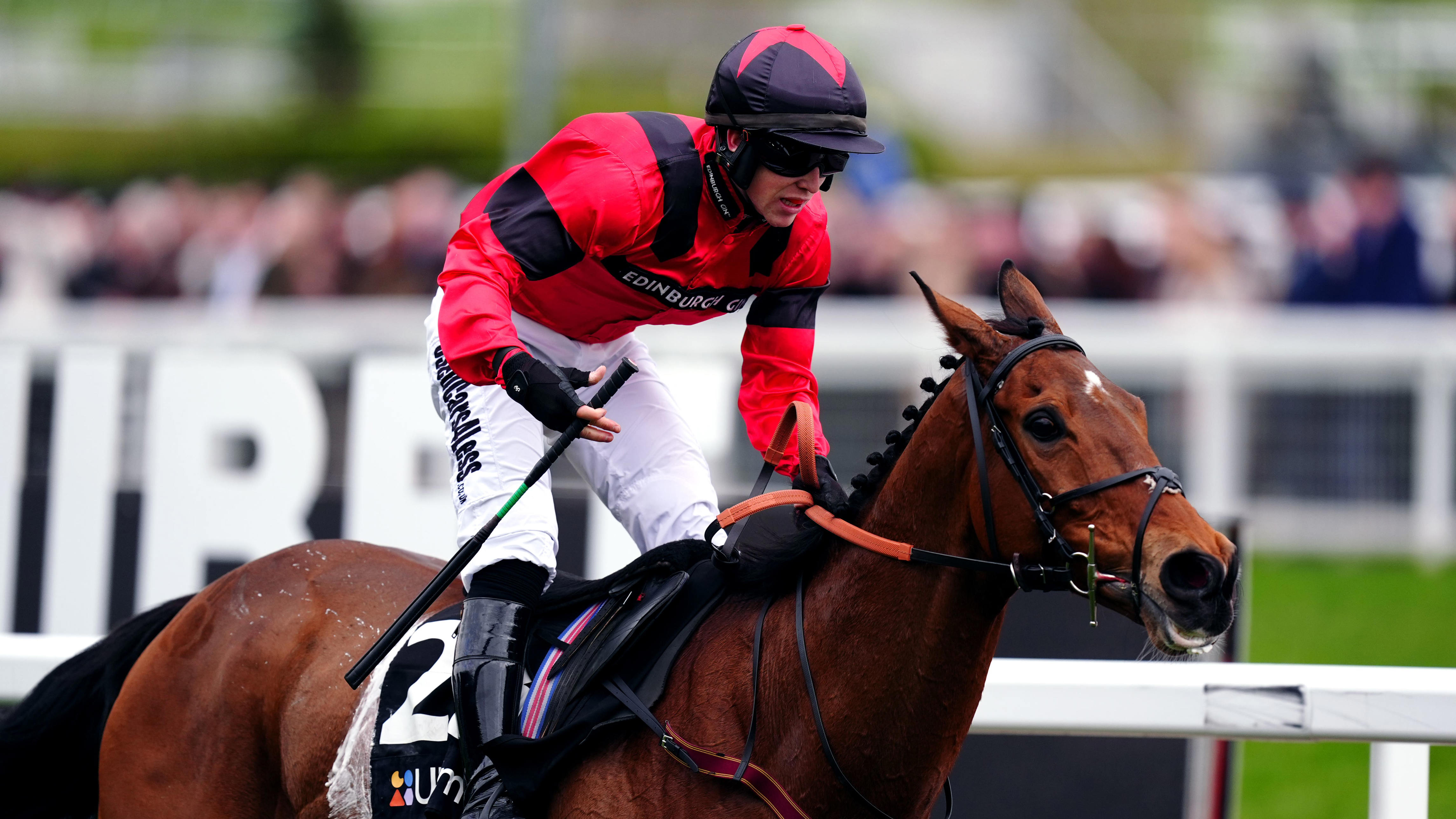 Myretown looking to be first big winner for Russell and Scudamore team
