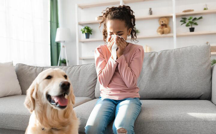 Sneezing, Hacking, Wheezing... Time to Stay Clear of the Dog!