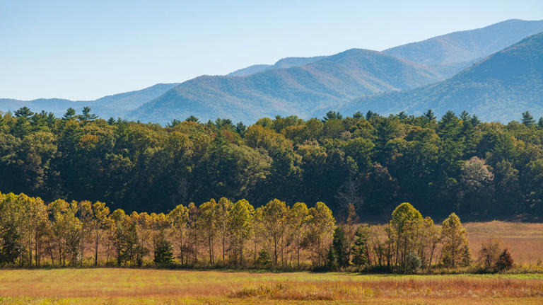North Carolina's Alpine Hideaway Is A Great Smoky Mountain Hamlet With ...