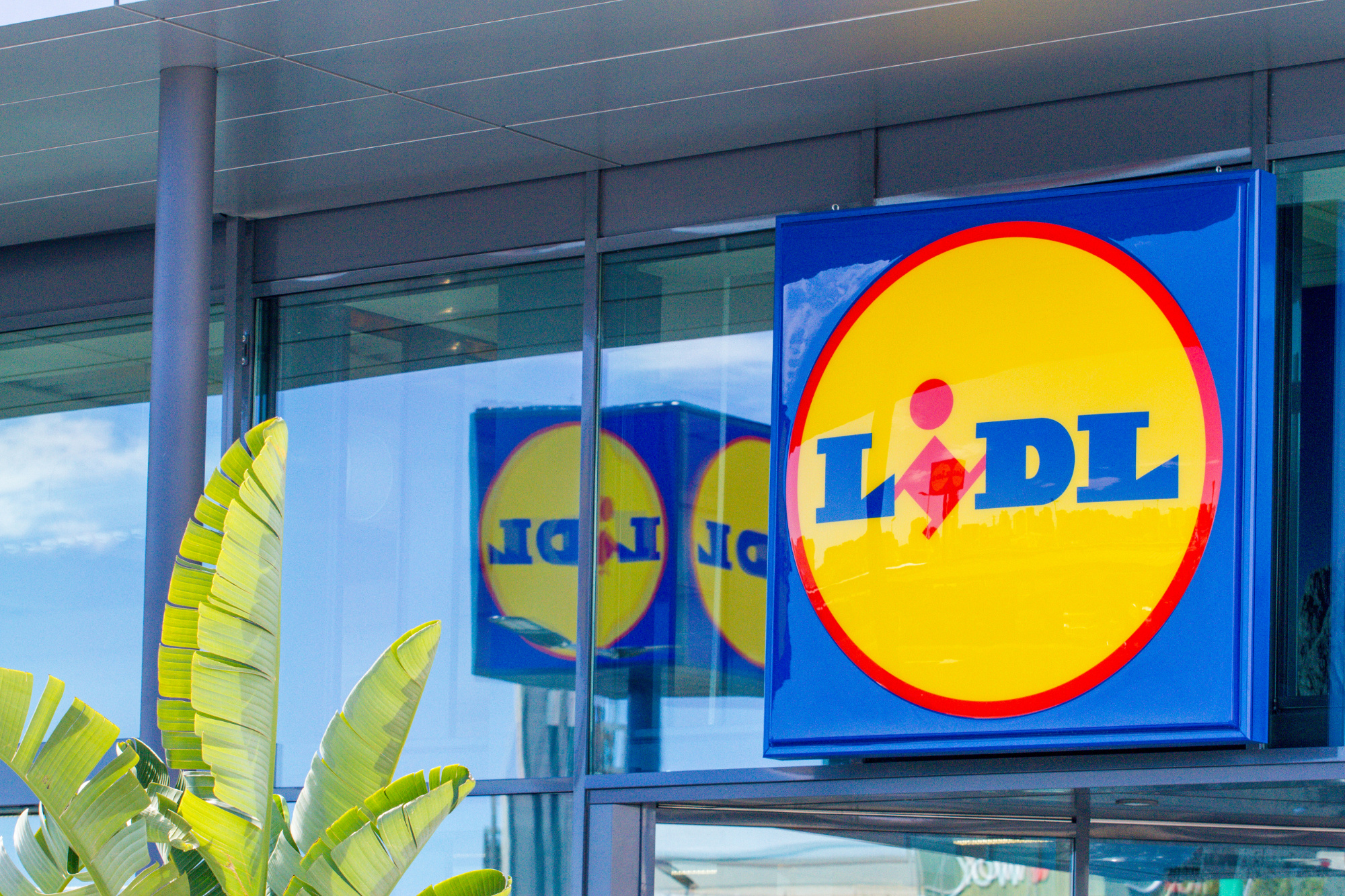Galette des Rois Lidl 2026 : une fève à 1 000 € cachée dans votre part