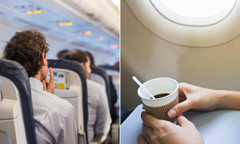 Plane passenger's 'insufferable' and 'obnoxious' mid-flight act sparks ...