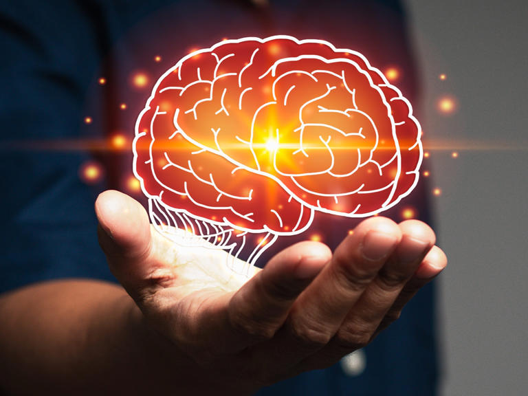 Five newly discovered life stages of your brain include a prolonged ...