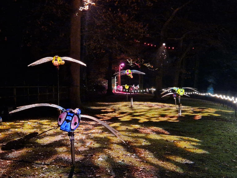 Glow Marwell: Zoo transforms into a magical twinkling wonderland of ...