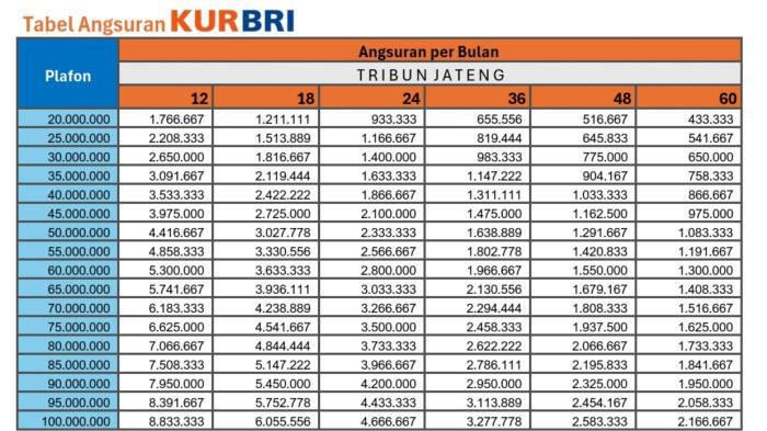 Tabel KUR BRI 2025,Info Pinjaman Rp 3 Juta,Rp 20 Juta hingga Rp 500 ...