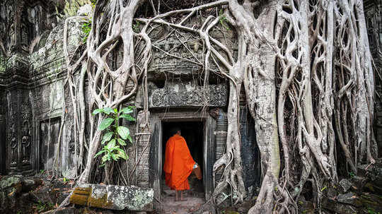 Did You Know The World’s Largest Temple Is Not In India But In THIS ...