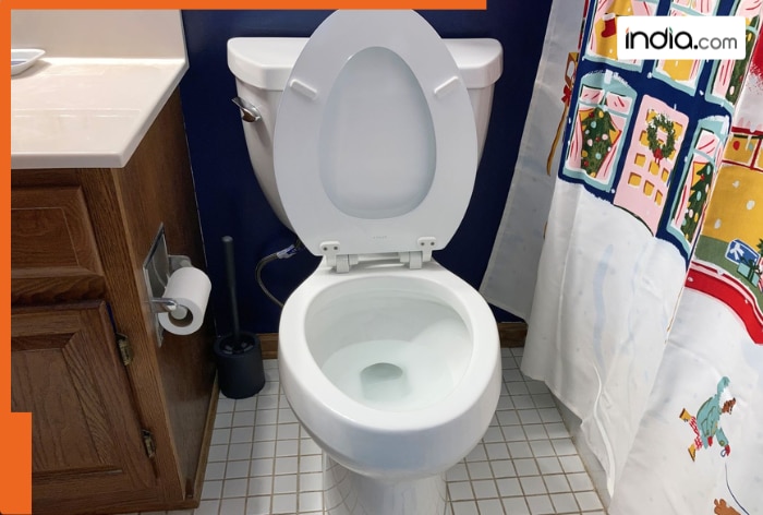 World’s first TOILET: Where it was built, who used it? Check its 4,000 ...