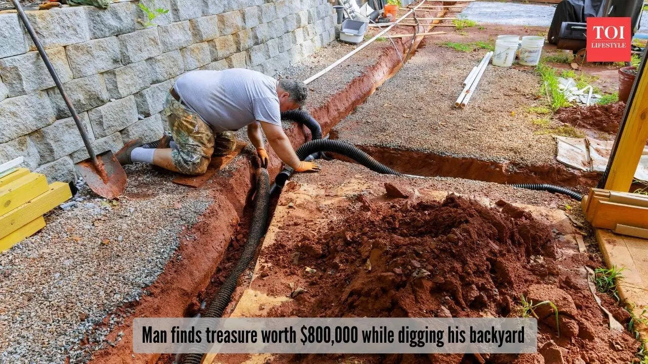 Man hits jackpot as he finds Gold bars worth $8,00,000 while digging ...